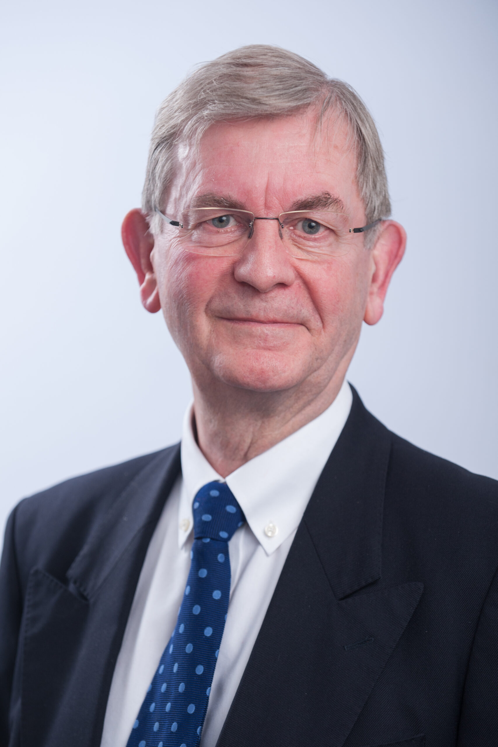 THE COUNCIL - CONEXAS MICROSITES